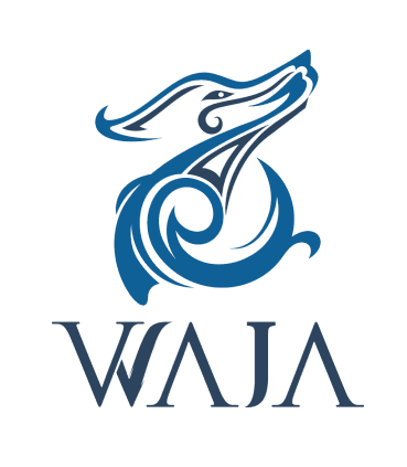 Waja IT | about us